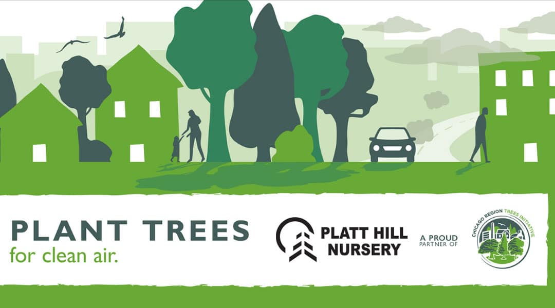 Plant Trees for Clean Air | Platt Hill Nursery | Platt Hill Nursery ...
